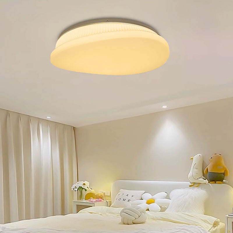 Contemporary Simplicity Acrylic Round Shade Iron LED Flush Mount Ceili ...