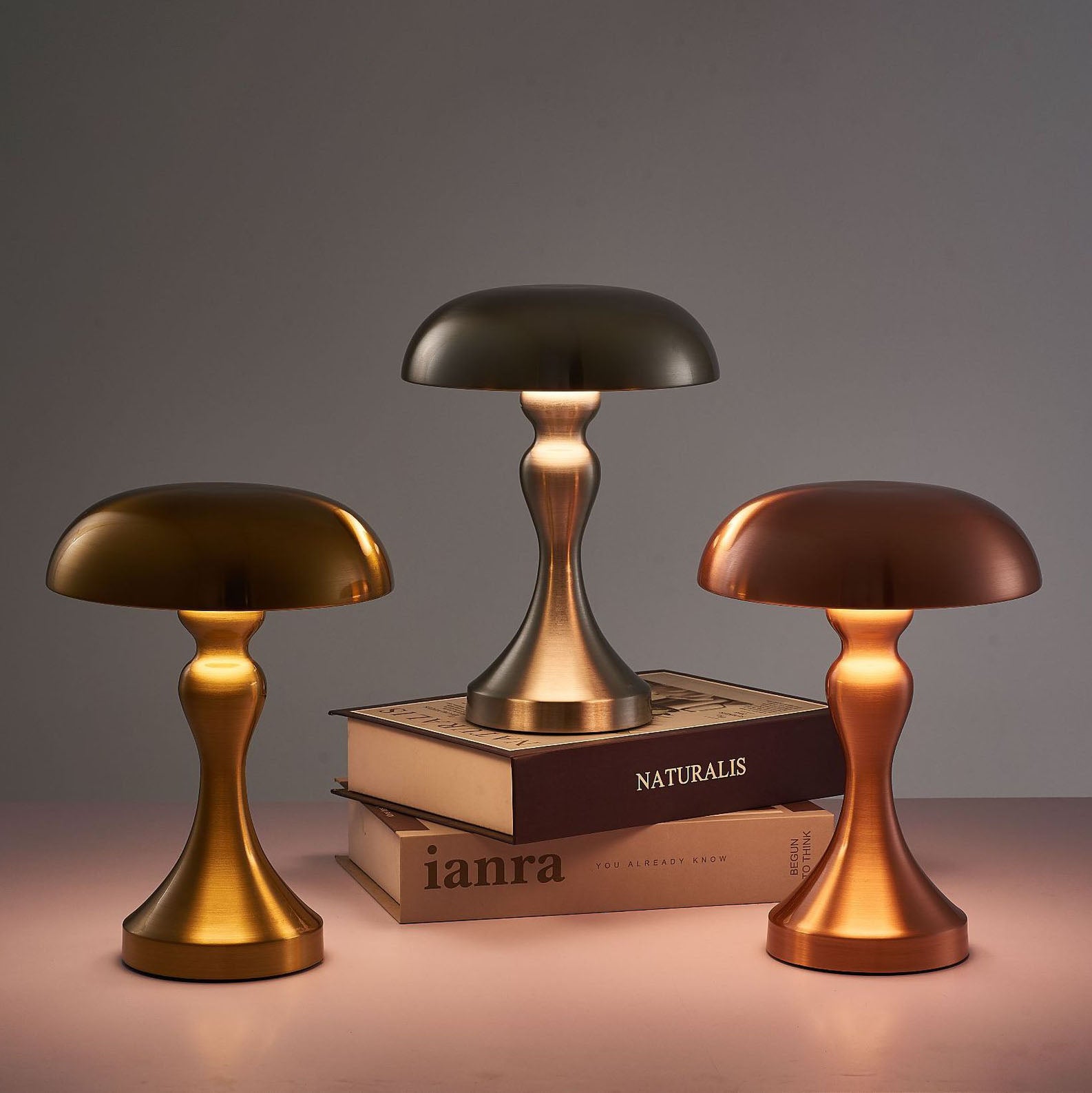 Nordic Creative Dome Dumbbell LED Touch USB Night Light Table Lamp ...